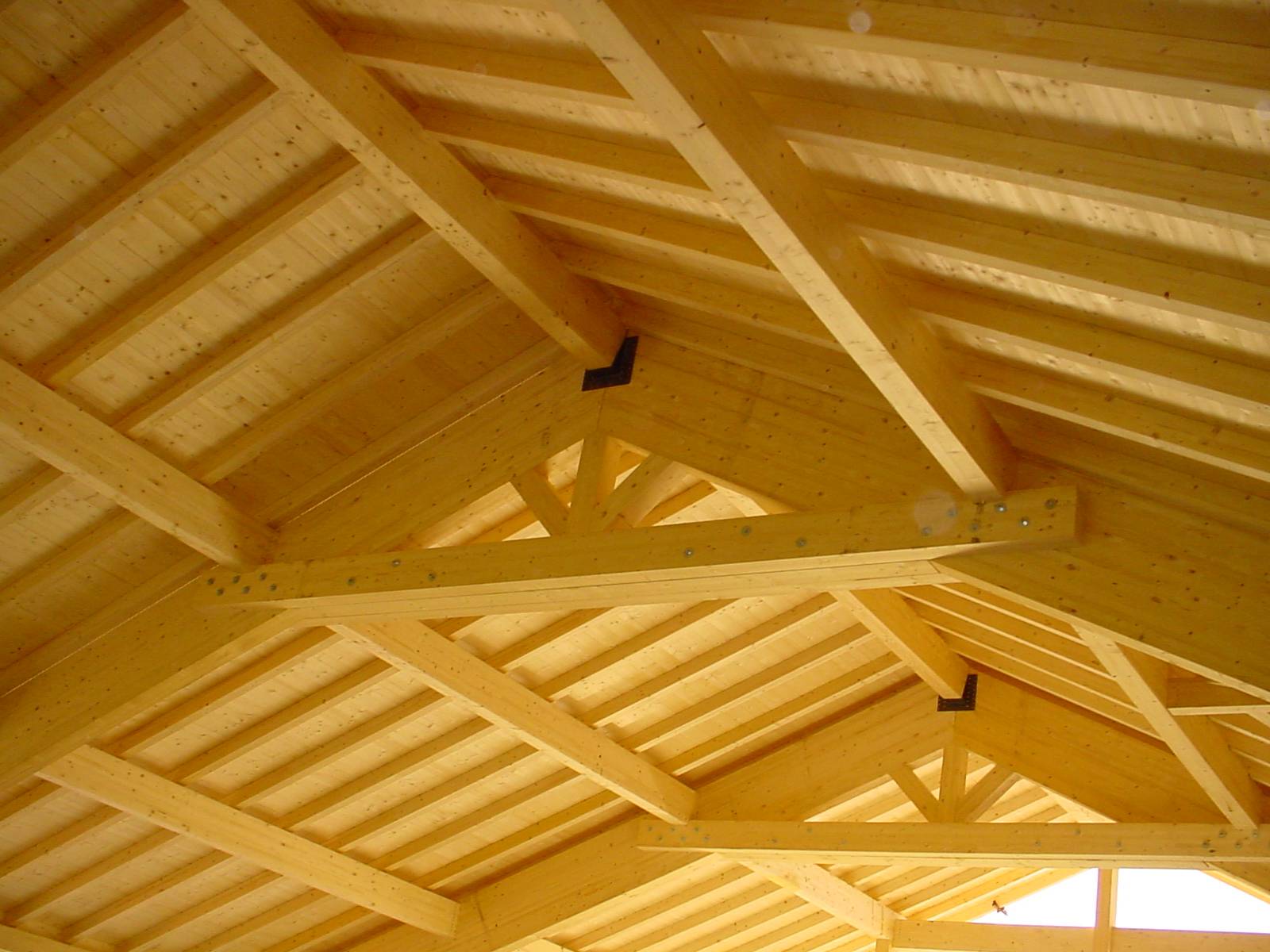 FRATELLI BERTI LEGNAMI SRL | portale del Legno Trentino